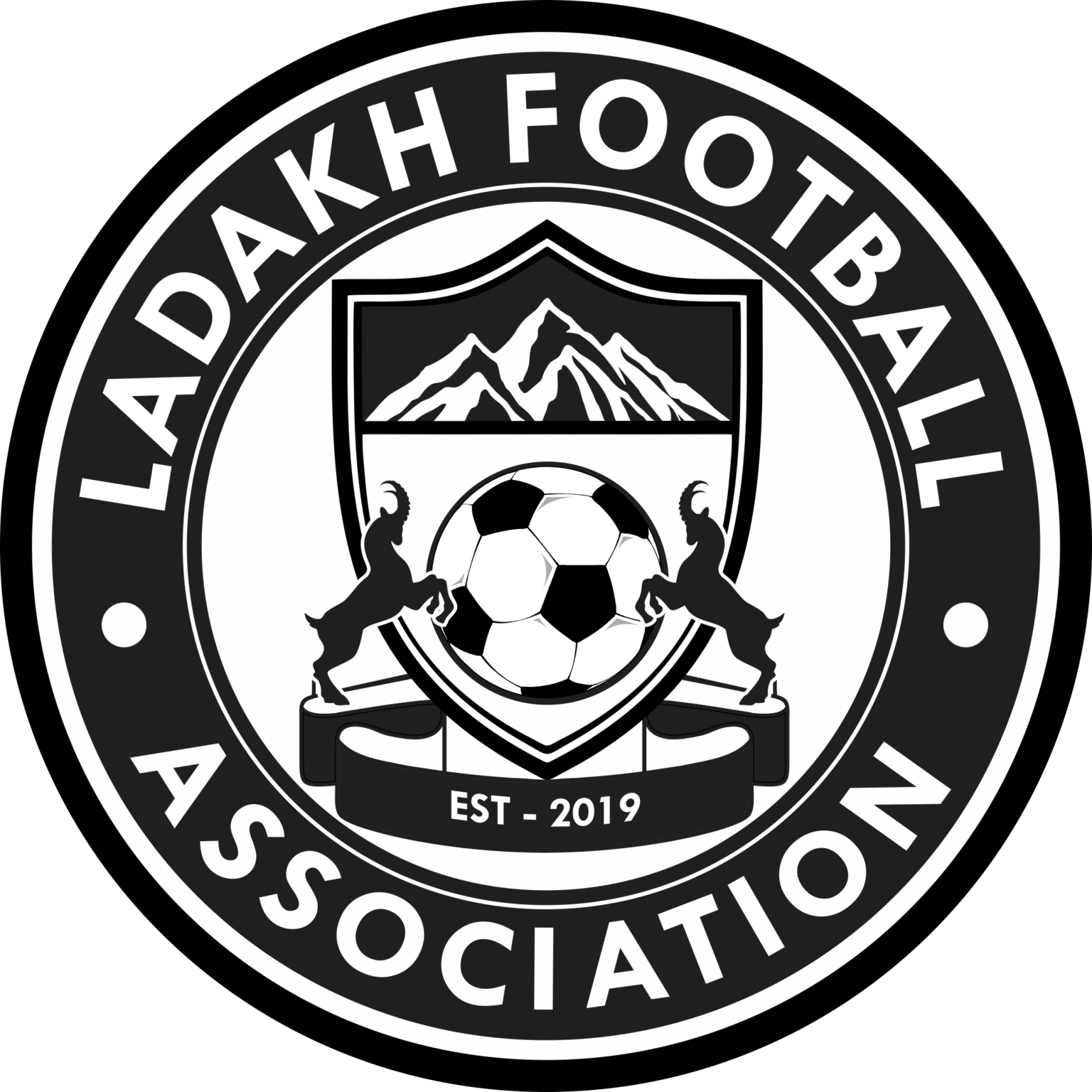 ladakhfootball.com